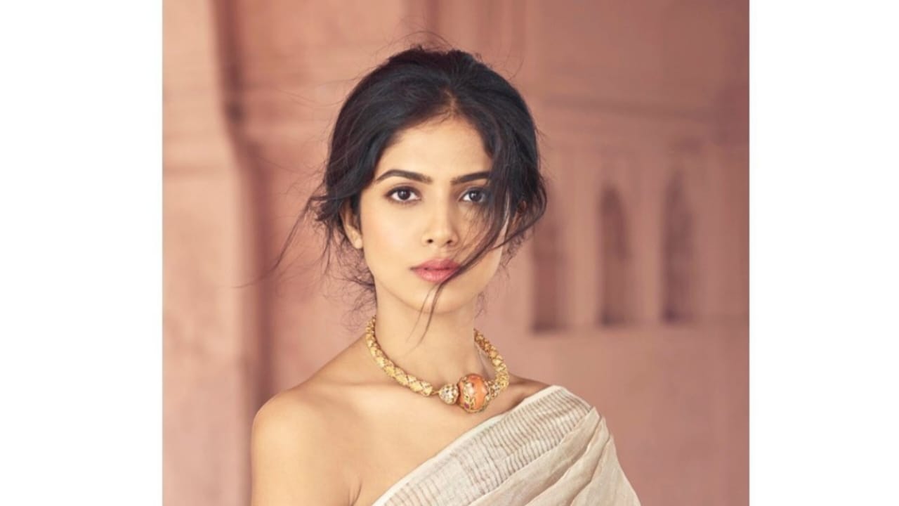 Drishika Chander Biography, Wiki, Bio, Age, Boyfriend, Husband, Net ...